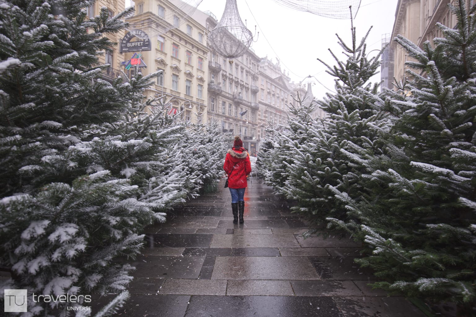 Fir trees for sale on the streets of Vienna