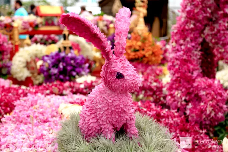 Pink rabbit-shaped orchid arrangement at London's Chelsea Flower Show
