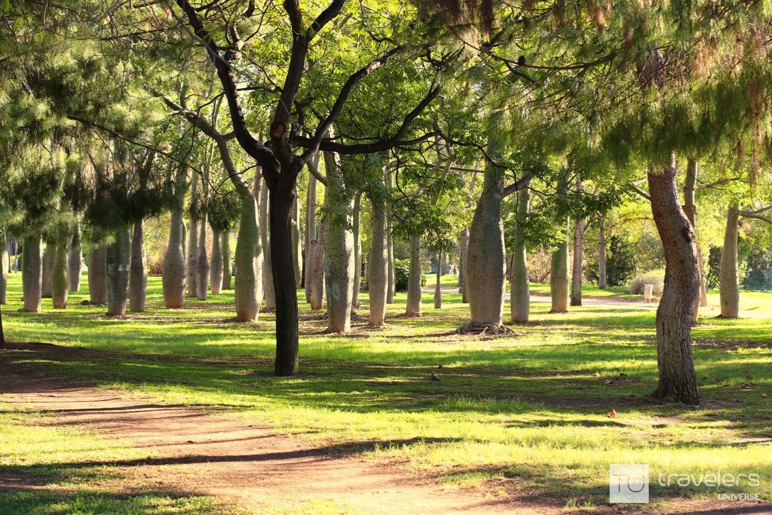 12 Things to Do In and Around Turia Park, Valencia