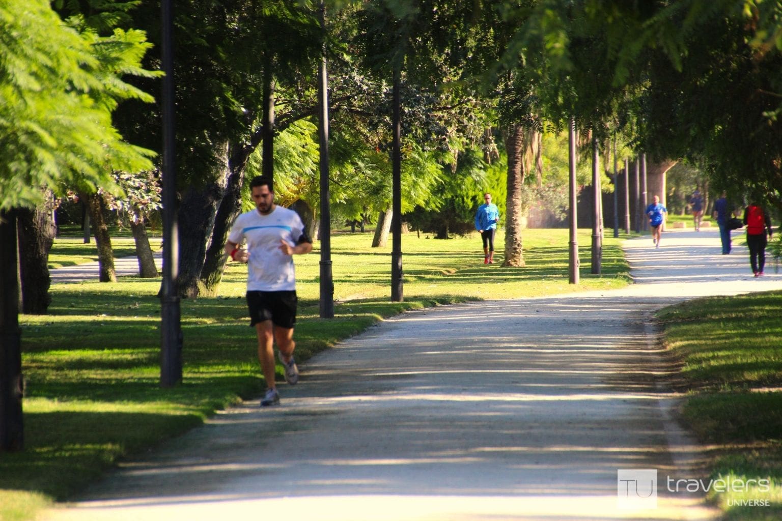 12 Things to Do In and Around Turia Park, Valencia