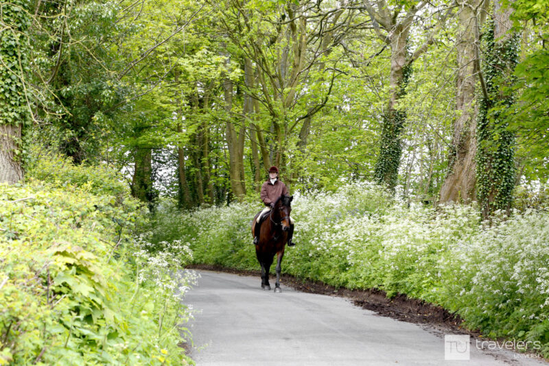 A horse and rider on a one lane road lined with trees between the Slaughters