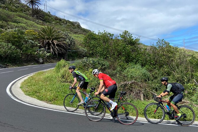 1/2 Day Guided Roadbike Tour - Tour Overview