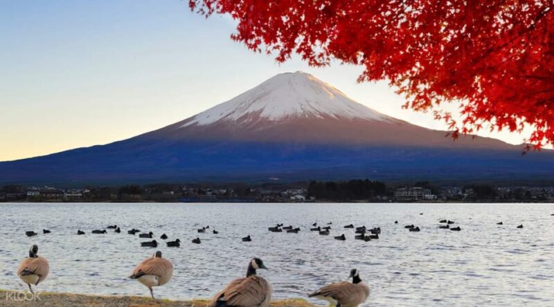 1 Day Mount Fuji Tour With an English Speaking Tour Guide - Key Points