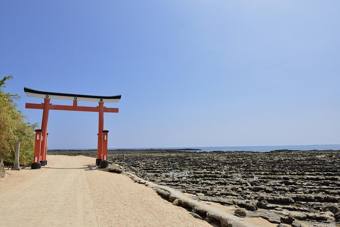 1 Day Private Tour to Miyazaki Nichinan - Key Points