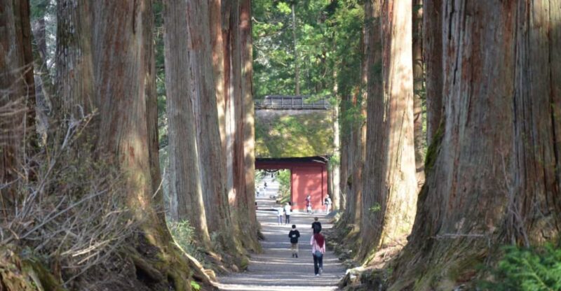 1-Day Togakushi: Soba Making, Ninja Town and Hidden Shrines - Key Points