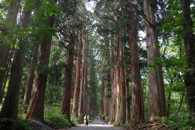 1-Day Togakushi Tour: Soba Making, Ninja Town, and Hidden Shrines - Key Points