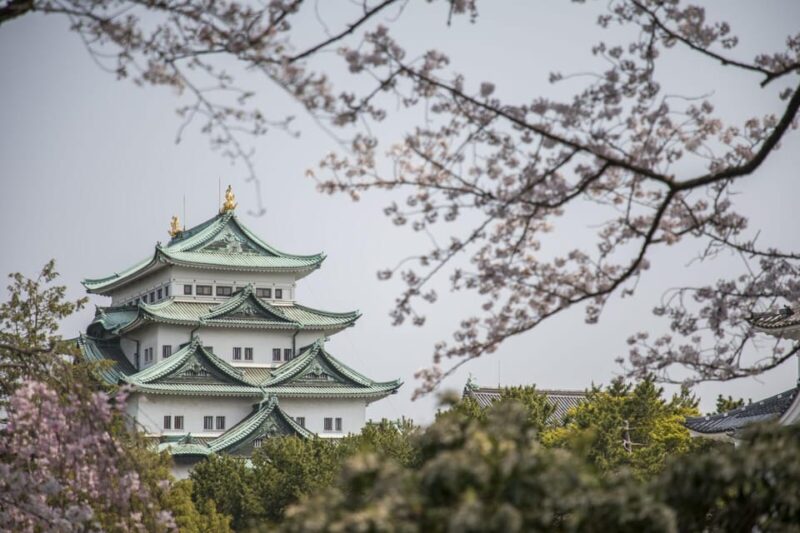 1-Day Tour: Nagoya Castle, Gardens & Historic Estate - Key Points