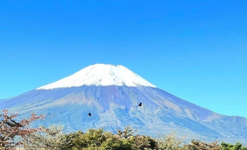 4 Days Private Customize Tour MT Fuji, Hakone, Niko, Tokyo - Included Services