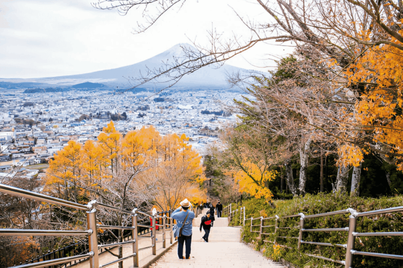 From Tokyo: Mount Fuji or Hakone Customized Day Trip - Itineraries