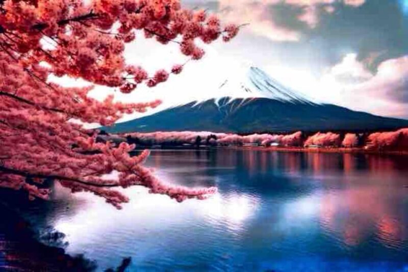 From Tokyo: Mount Fuji Private Day Tour With English Driver - Pickup and Transportation