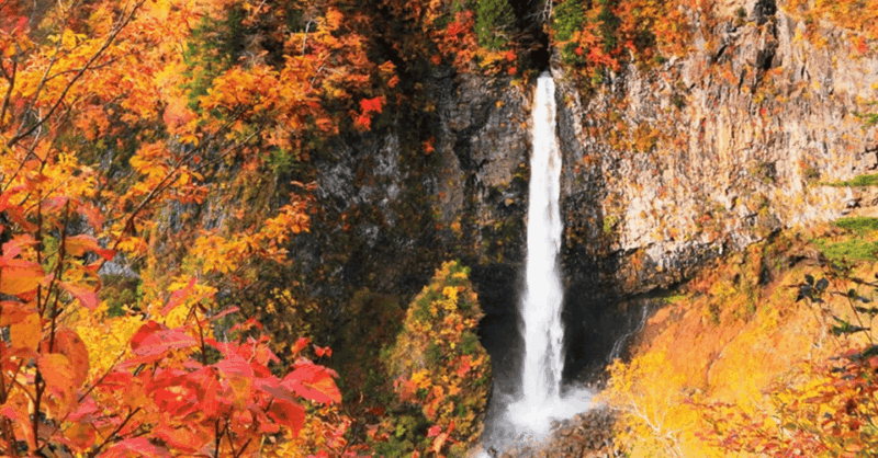 From Tokyo: Nikko UNESCO Shrine and Nature View 1-Day Tour - Transportation and Logistics