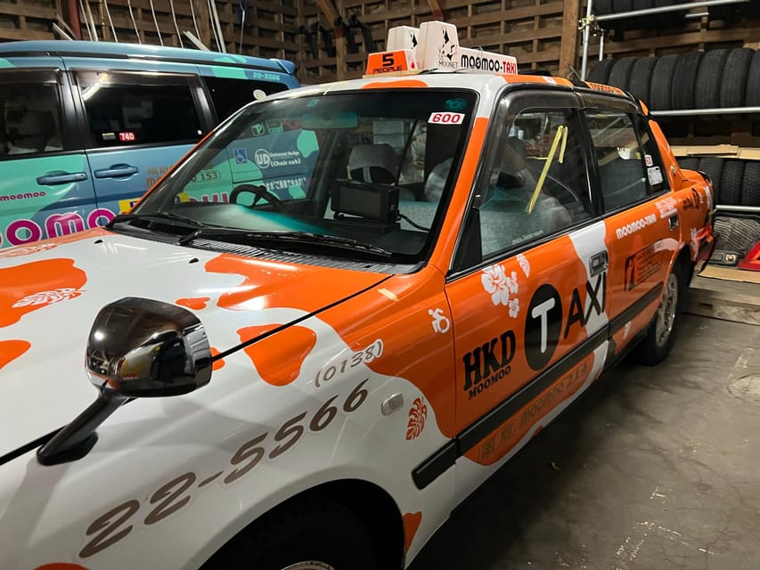 Hakodate: Whole-Day Heritage Trail Tour (In a Moomoo Taxi!) - Relishing the Geothermal Wonders and Natural Beauty