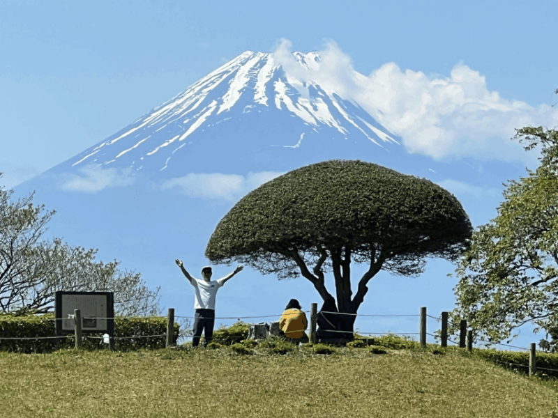 Hakone Hachiri: Old Tokaido Highway Hiking Tour - Itinerary Highlights