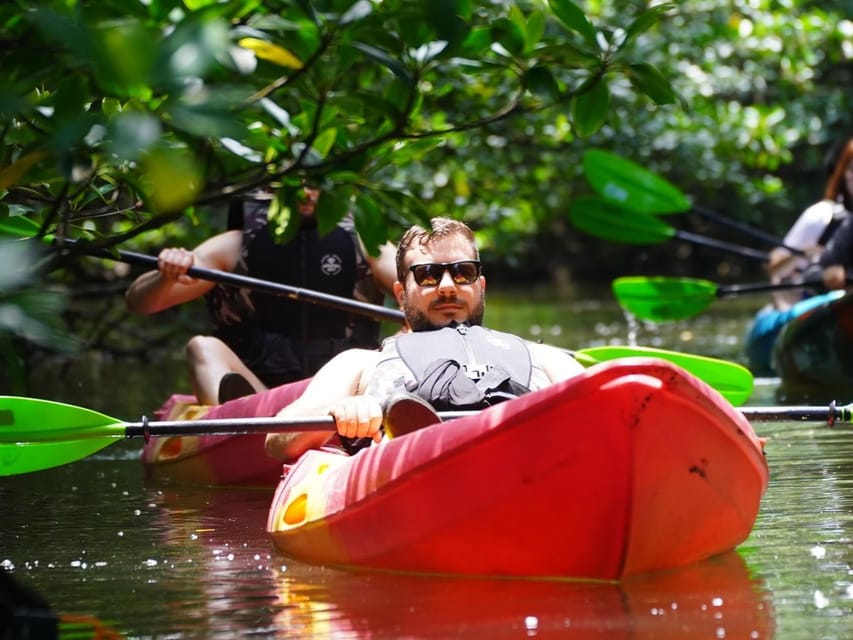 Iriomote: Mangrove Canoe and Yubujima Sightseeing Tour! - How to Book and Inquire