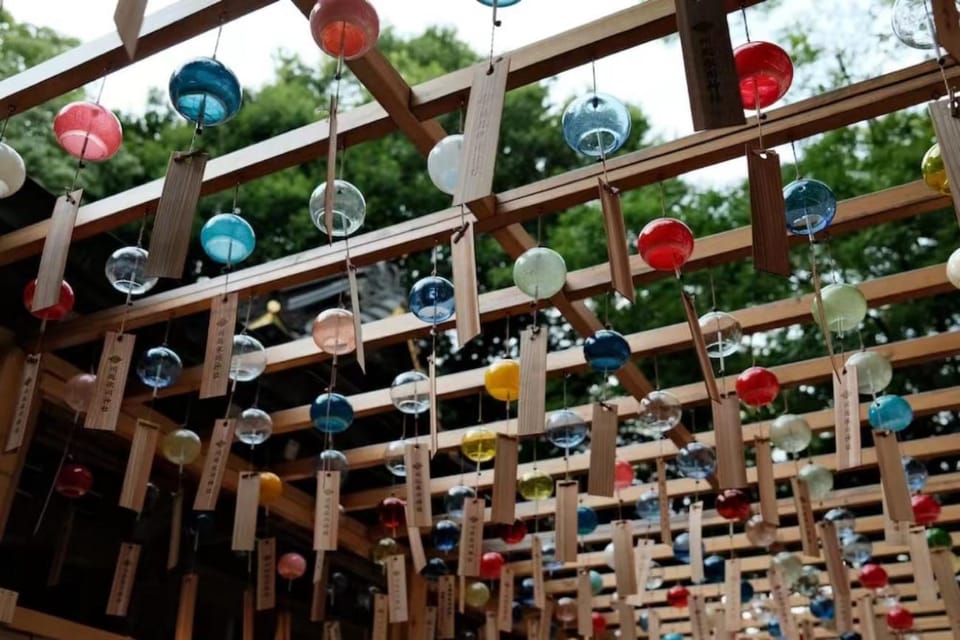 Kanto 10-Hour Chartered Day Trip｜ Kawagoe - Vehicle and Driver Information