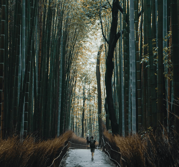 Kyoto Classic Day Trip: Peaceful Temples & Shrines & Gion - Itinerary Highlights