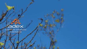 Sky Walk Adventure:Ridge Trail on Date Monbetsu Peak