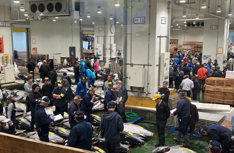 Tokyo: Toyosu & Tsukiji Market Adventure With Tuna Auction - Included Features