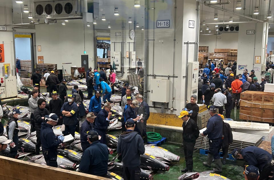 Tokyo: Toyosu & Tsukiji Market Adventure With Tuna Auction - Customer Feedback