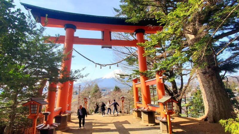 2 Days Tour: Mt. Fuji & Hakone GREEN NUMBER PLATES - Key Points