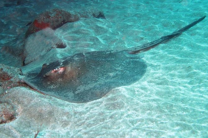 2 Dive Package for Qualified Divers Review - About Your Stay