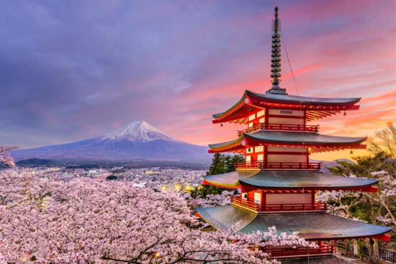 1 Day Private Tour Discover Mount Fuji and Lake Kawaguchi - Booking Information