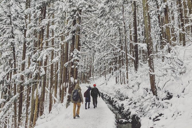 1-Day Winter Tour From Nozawa Onsen: Snow Monkeys, Zenko-ji Temple & Sake - Inclusions