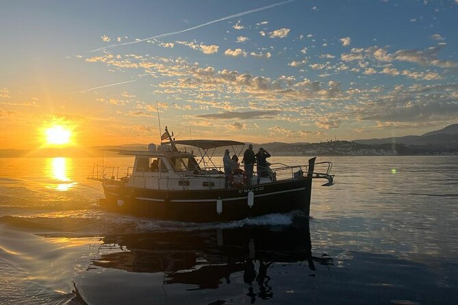 2-Hour Excursion in Search of Dolphins/Drinks and Snacks - Itinerary and Inclusions