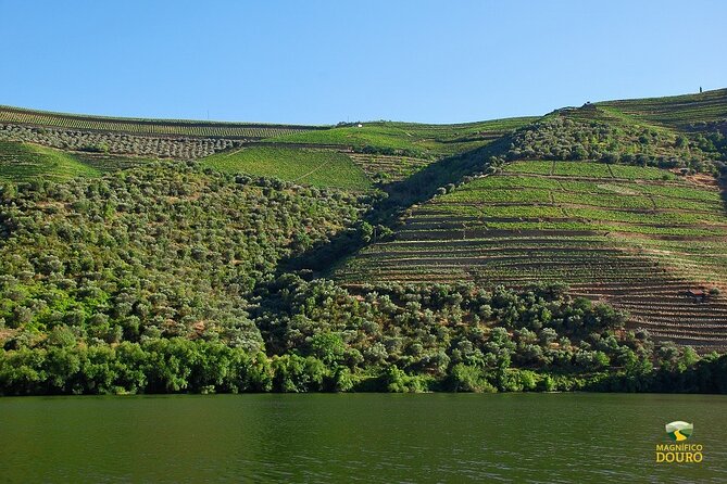 2-Hour Rabelo Boat Tour in Pinhão - Meeting and Departure Details