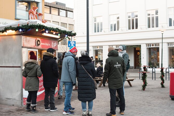 2-Hour Reykjavik Private Walking Tour - Navigating the Charming Lakeside of Tjornin