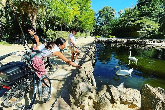 2 Hour Tour Discover Seville Like a Local on an ELECTRIC BIKE - Discovering Sevilles Highlights