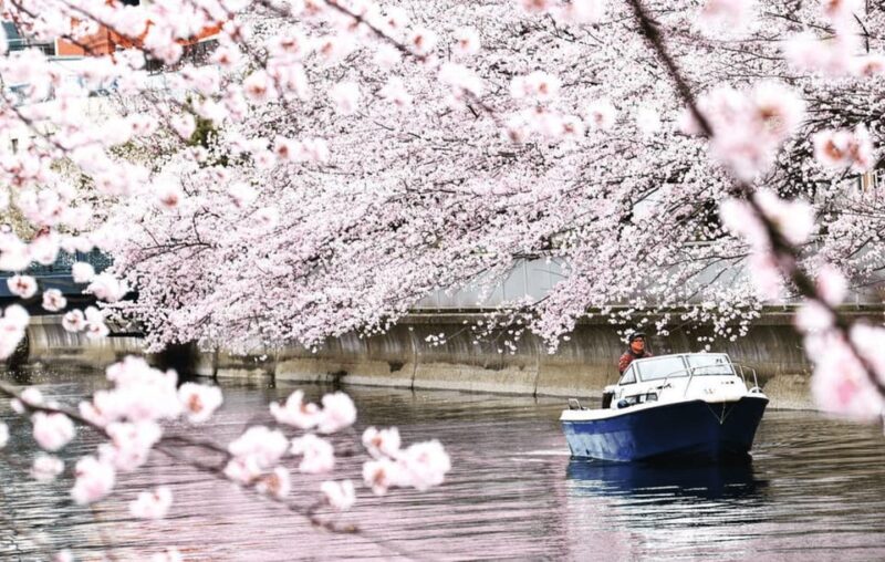 2 Hours Private Cruising Boat Tour;Tokyo Bay & River - Itinerary Highlights
