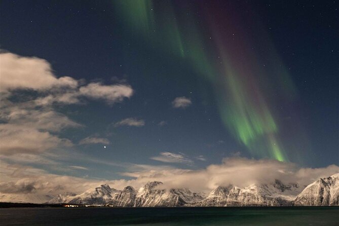 24hr Northern Lights & Whale Watching Cruise - Cruise Inclusions