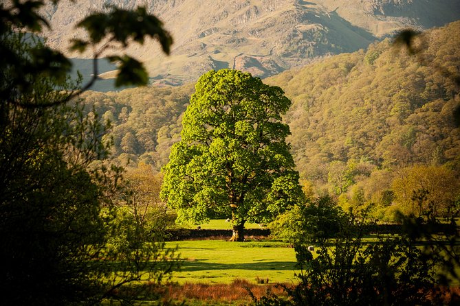 3-Day Lake District Explorer Small-Group Tour From Edinburgh - Day 2: Exploring Ullswater and Hawkshead