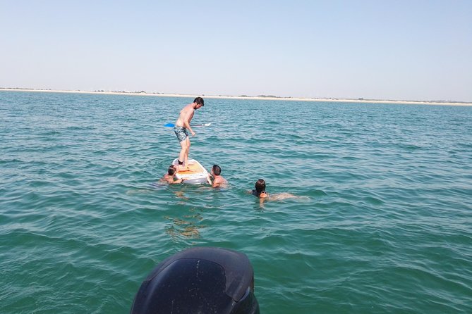 3-Hour Boat Ride Through the Bay of Cadiz - Pricing and Booking