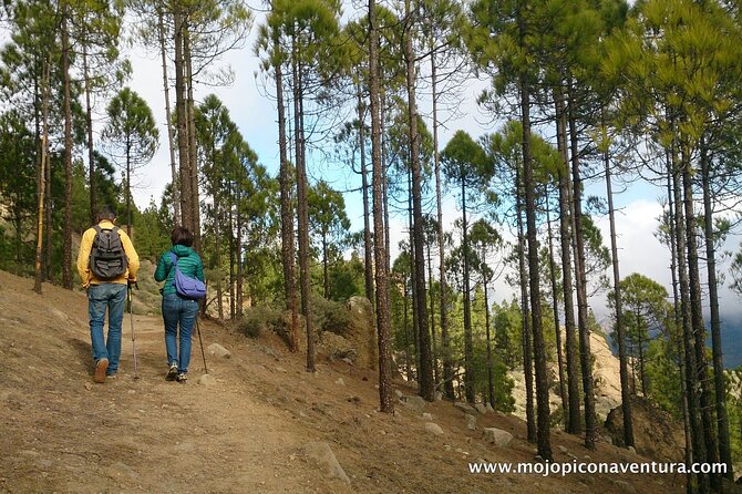 3-Hour Hiking Experience in Roque Nublo - Inclusions and Logistics