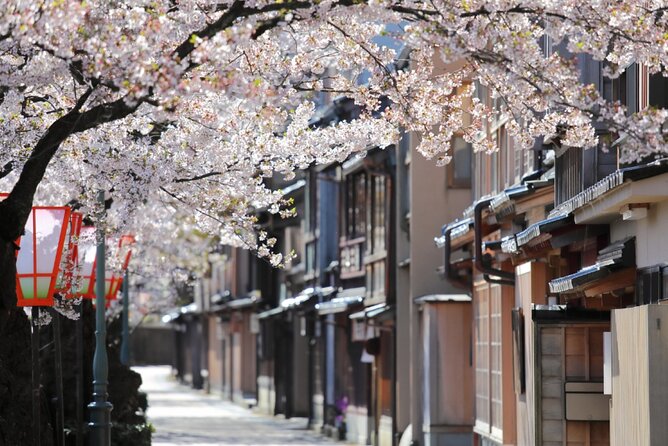 4 Hour Unique Kanazawa Cherry Blossom Sakura Private Experience - Accessibility and Participation