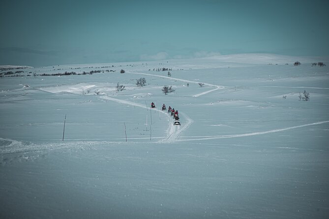 4hr Finnmarksvidda Snowmobile Adventure - Exploring the Stunning Landscapes of Alta, Norway