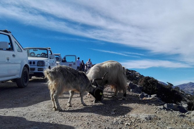 4x4 Self Drive Adventure_Cretan Mainland - Participant Requirements and Accessibility