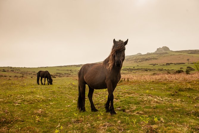 5-Day Devon and Cornwall Small-Group Tour From London - Accommodation and Inclusions