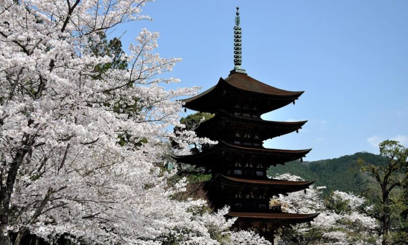 5-Day ONE WAY Bus to North Hyogo From Fukuoka to Hiroshima - Itinerary Highlights