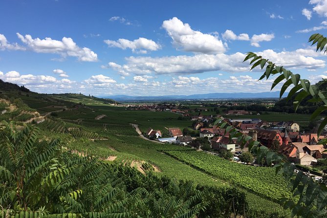 5H00 ALSACE PRIVATE TOUR-Castle, Villages, Wine, Friendly Driver - Discovering the Fairy-Tale Village of Riquewihr
