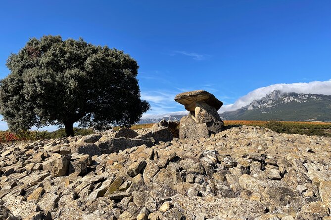 A Sip-By-Sip Tour of 3 Boutique Rioja Family Wineries (Private Tour With Lunch) - Savoring Local Tapas and Exquisite Wines