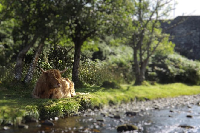 A Taste of Scotland Full-Day Private Tour - Tour Details