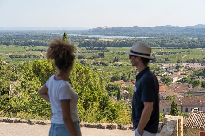 Afternoon Wine Tour to Chateauneuf Du Pape Review - Inclusions and Meeting Details