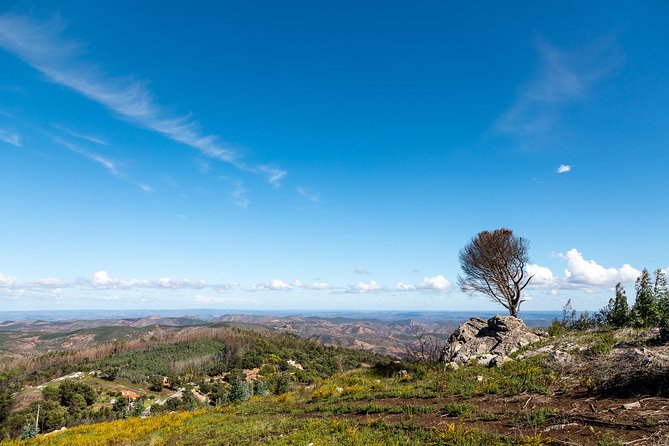 Algarve a La Carte - Customer Experience and Feedback