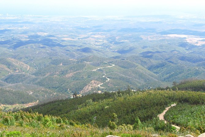 Algarve Wine Tour and Mountain Top Trip With Lunch or Dinner at Sunset Time - Vineyard Visits and Wine Tastings