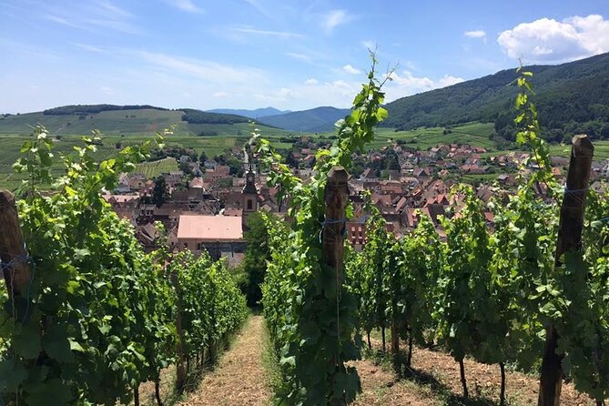 Alsace 4 Wonders Small-Group Day Trip From Colmar - Discovering the Charming Villages