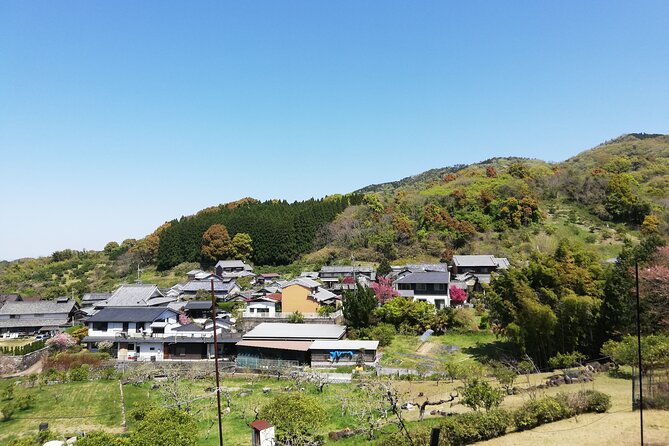 Ancient Nara Walking and Cycling Tour in Asuka - Highlights of the Tour