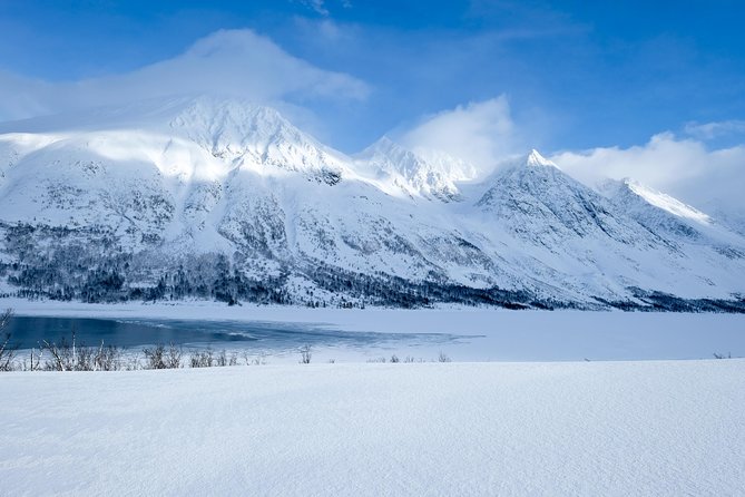 Arctic Fjord and Landscape Tour - Wildlife Encounters